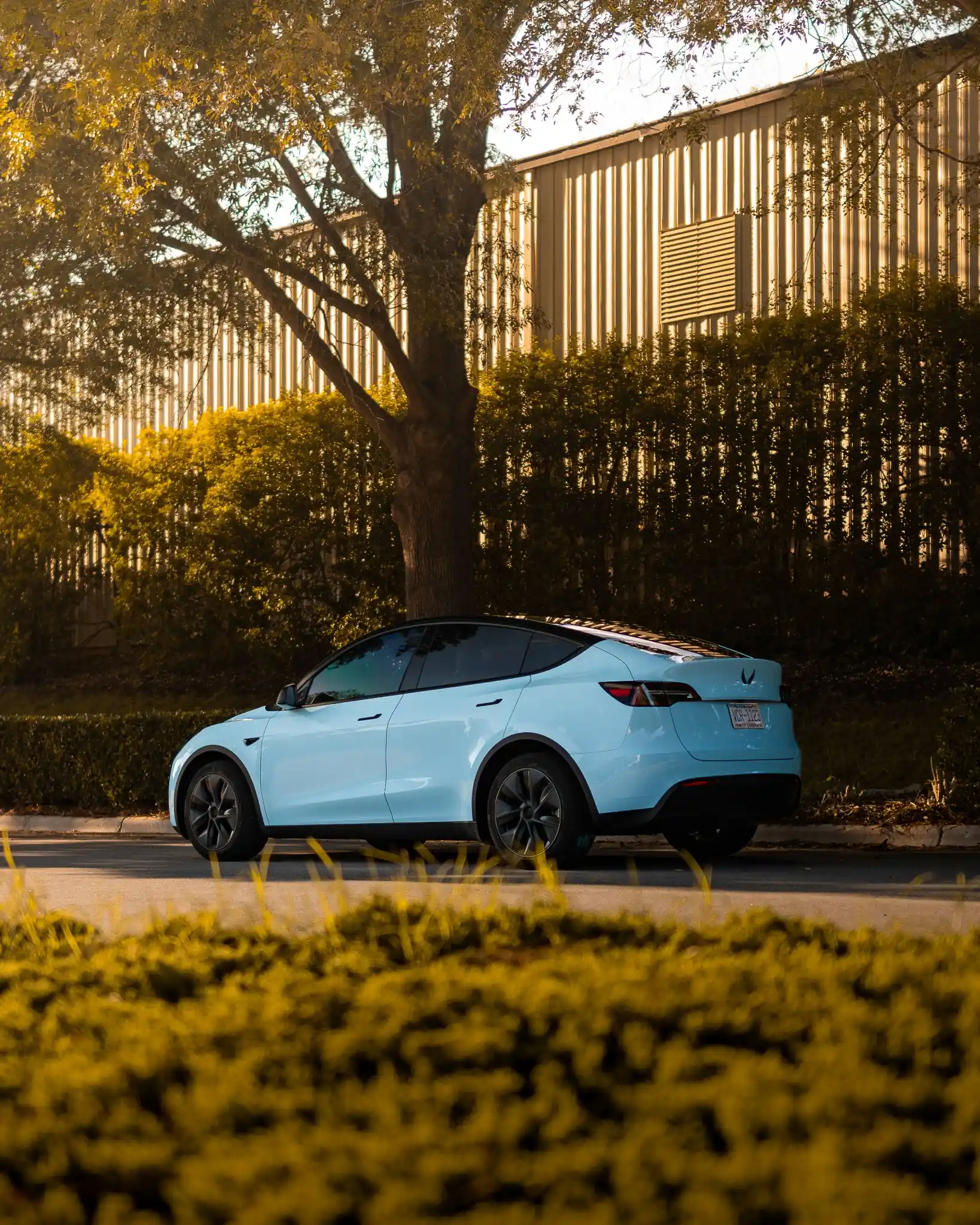 Tesla Wraps in Raleigh, NC | King Tutt Graphics